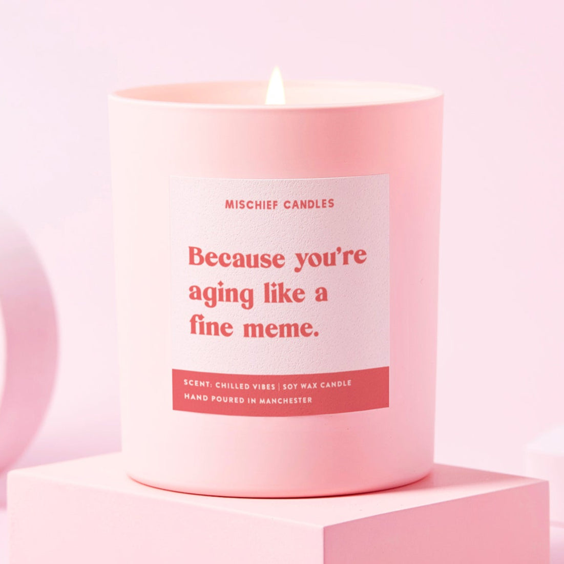 Funny Birthday Gift Soy Wax Candle Aging Like a Fine Meme – Mischief ...