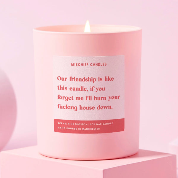 Best Friend Funny Burn House Down Gift For Her Funny Candle – Mischief ...