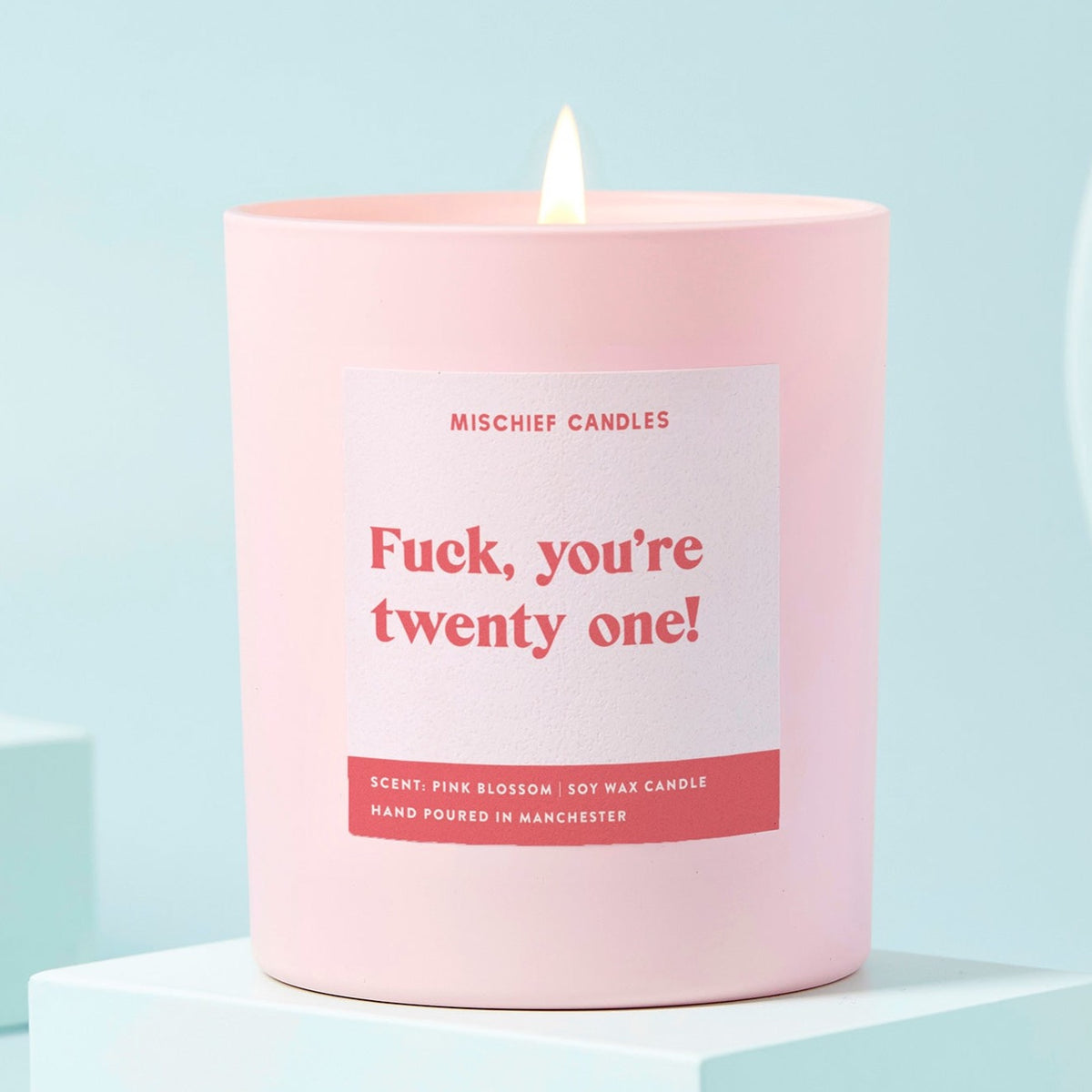 Funny 21st Birthday Gift Funny Candle Fuck You're Twenty One – Mischief ...